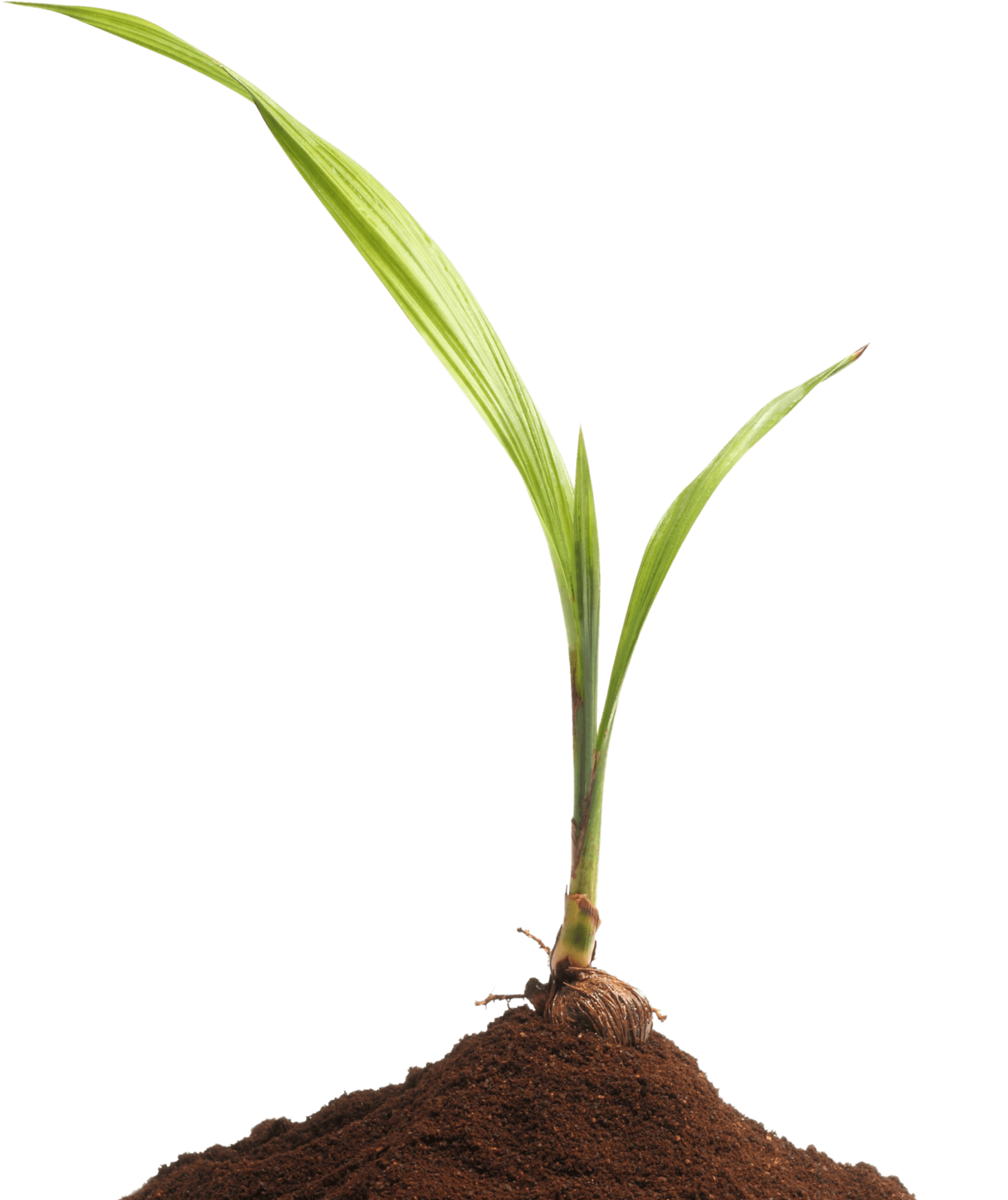 About Us AgroStar About Us AgroStar